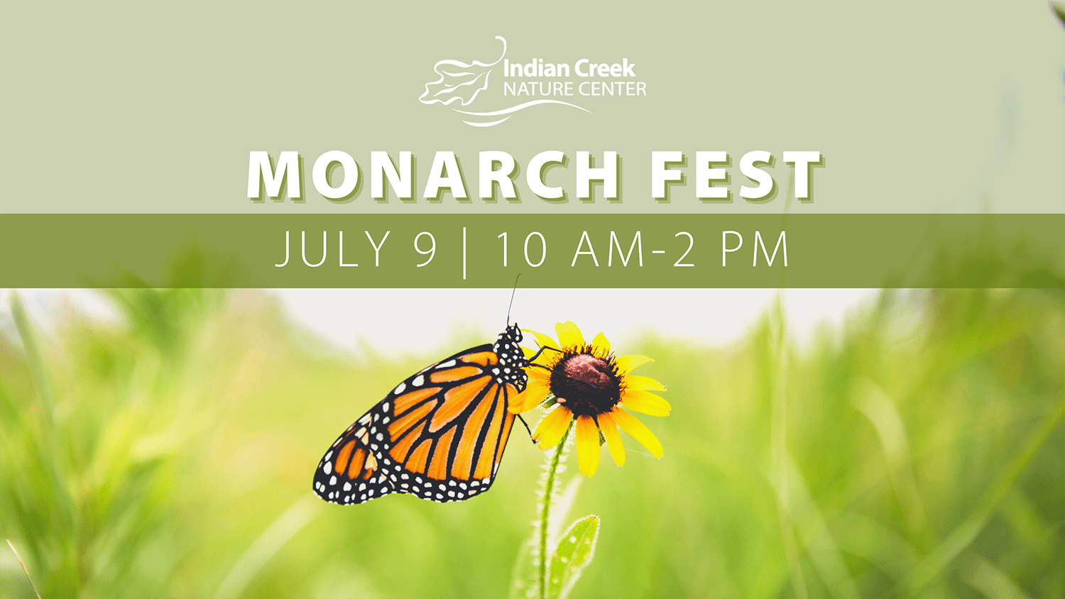 Monarch Fest | Indian Creek Nature Center