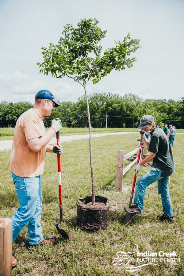 Planting for Future Generations | Indian Creek Nature Center